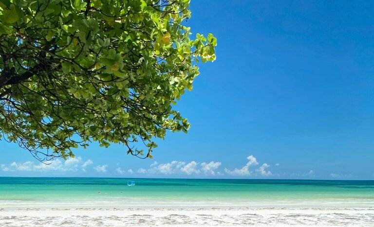 Dolphin House Galu Beach - Luxury Private Beach House Diani